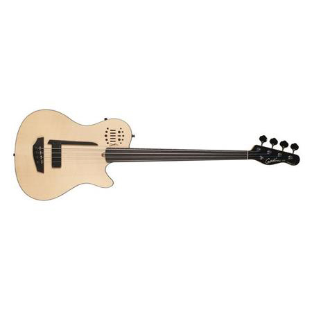 Godin A4 Ultra Fretless EN SA bag | djservice.ee